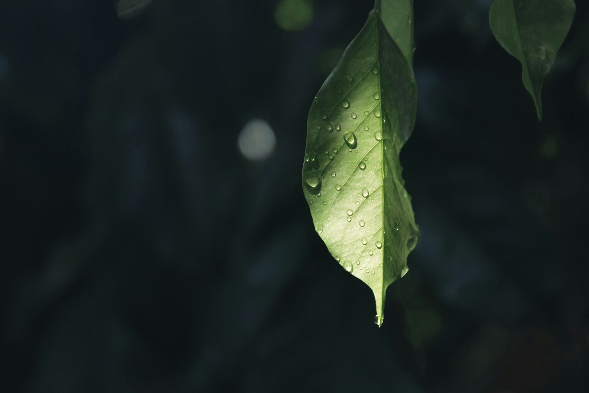 The rules and history of feng shui - Living Around The World